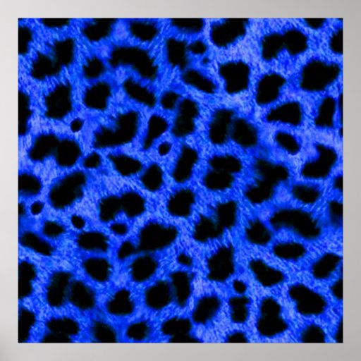 Imagenes animal prints blue - Imagui