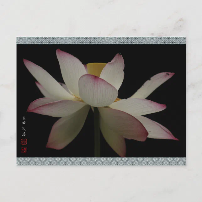 「京都立本寺の蓮」"Lotus at Kyoto Ripponji Temple" Postcard | Zazzle
