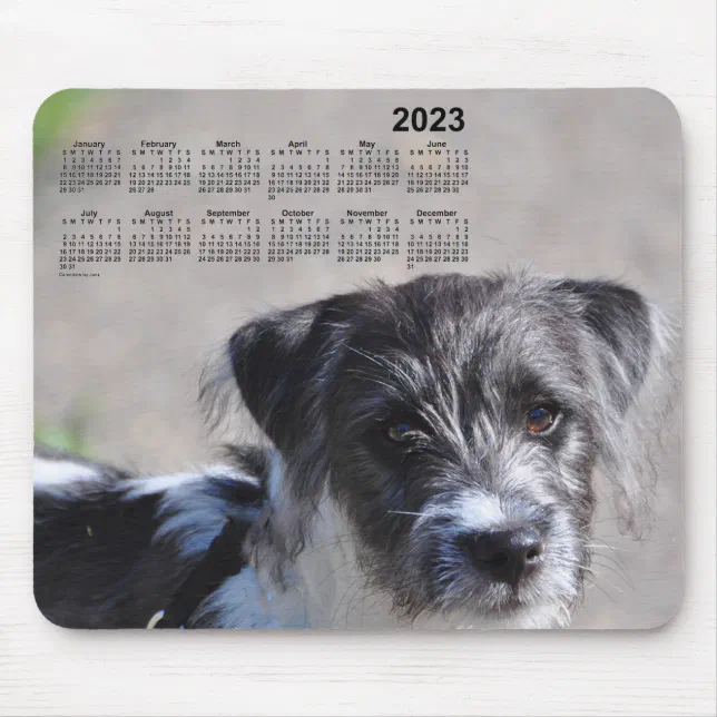 2023 Puppy Calendar by Janz Jack Russell Terrier Mouse Pad | Zazzle