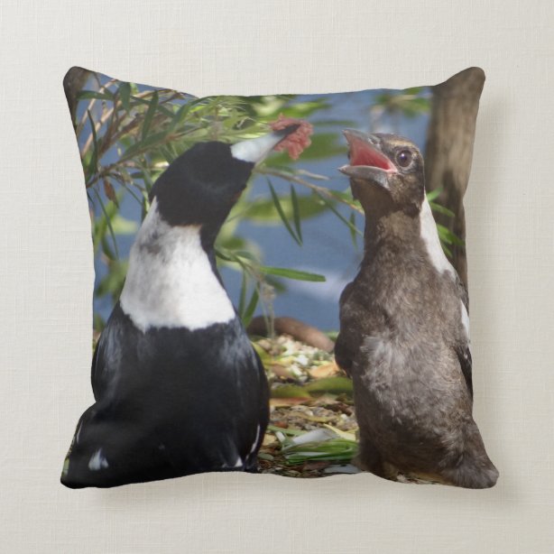 Magpie Gifts on Zazzle AU
