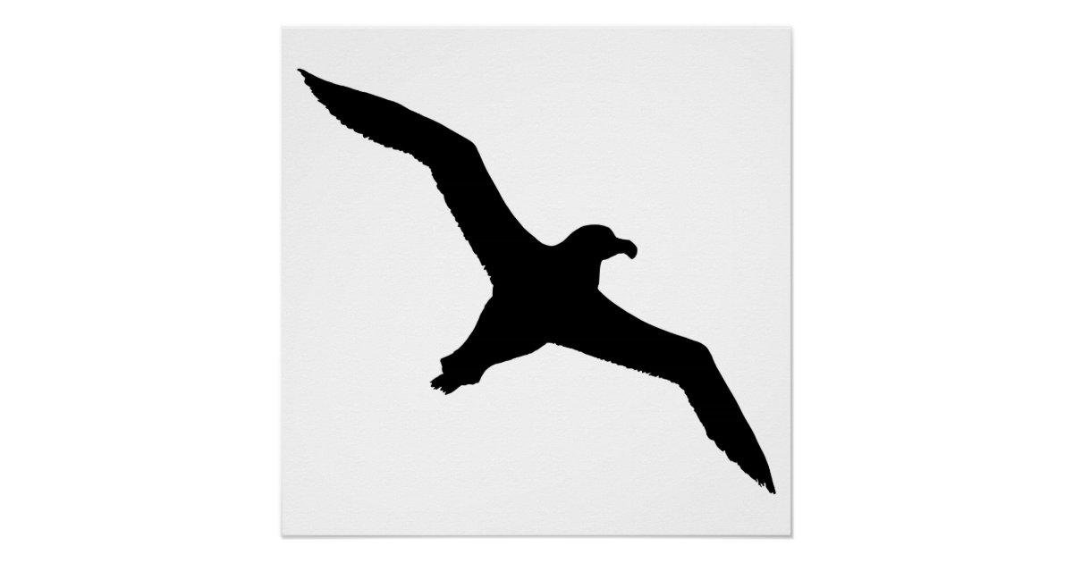 Albatross Poster | Zazzle