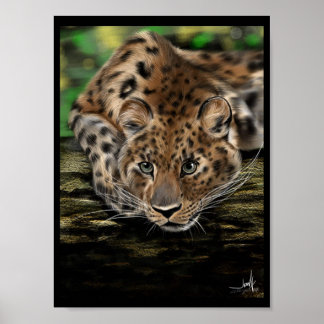 Leopard Posters | Zazzle.com.au
