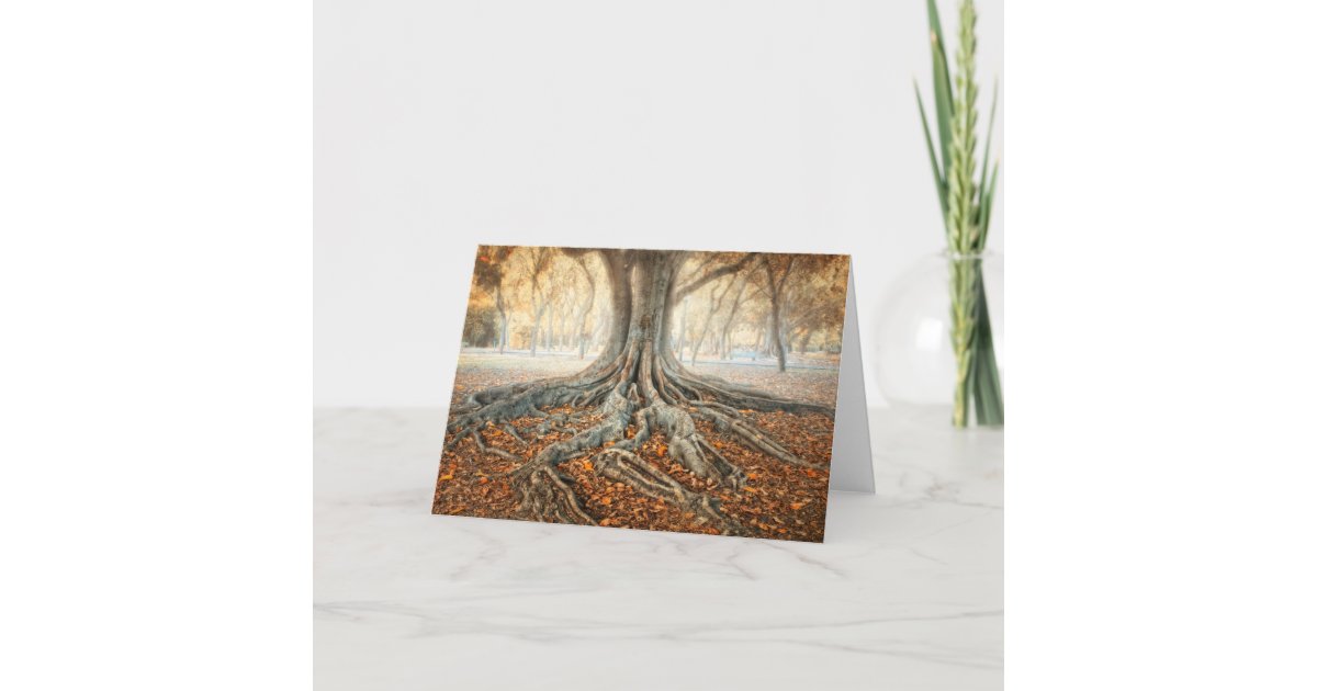 Ancient Tree Roots Card | Zazzle