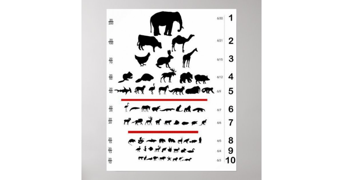 Animal Eye Chart Poster | Zazzle