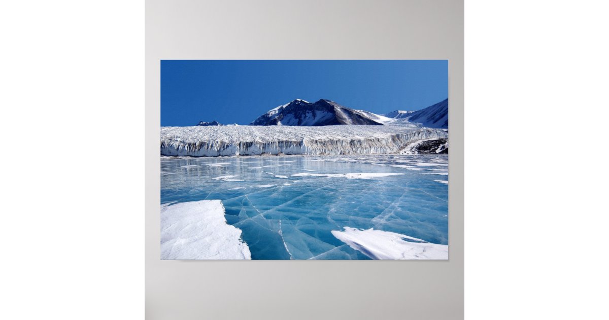 Antarctica Poster | Zazzle