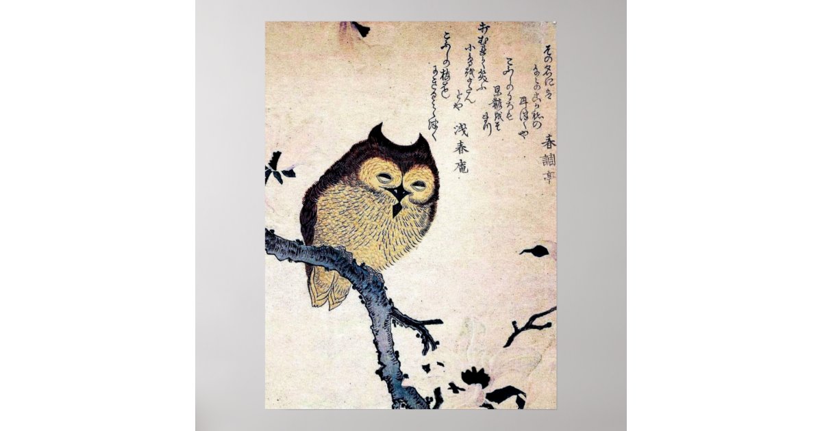 Antique Chinese Owl Print Poster | Zazzle