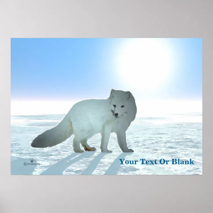 Arctic Fox Poster | Zazzle