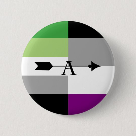 Aromantic Asexual Aro Ace Pin | Zazzle.com.au