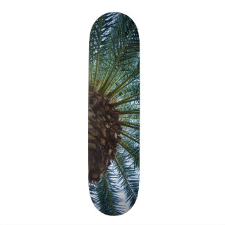 Palm Tree Skateboard Decks | Zazzle.com.au