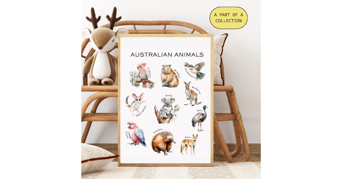 Australian Animals Educational Poster | Zazzle