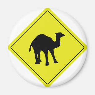 Camel Refrigerator Magnets | Zazzle.com.au