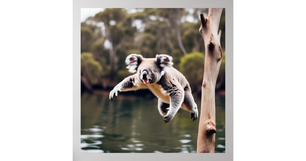 Australian Drop Bear Koala Poster | Zazzle
