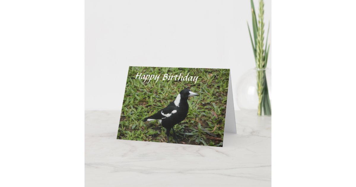 Australian Magpie Happy Birthday Card | Zazzle.com.au