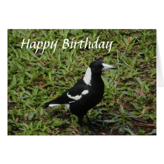 Australian Magpie Happy Birthday Card | Zazzle.com.au