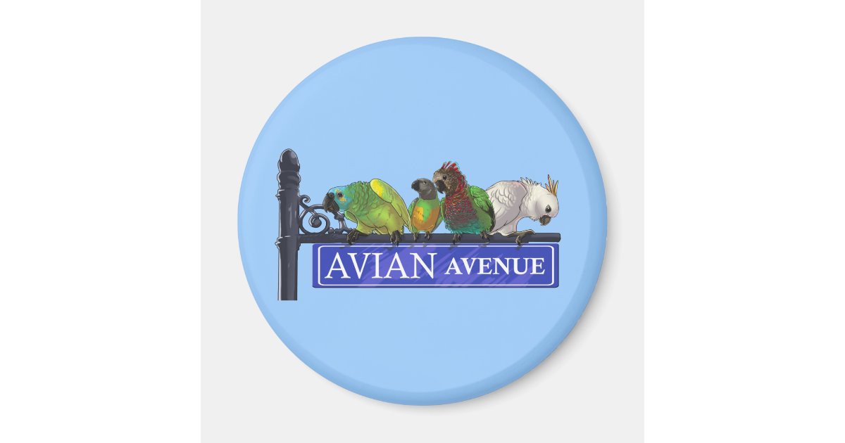Avian Avenue Magnets | Zazzle