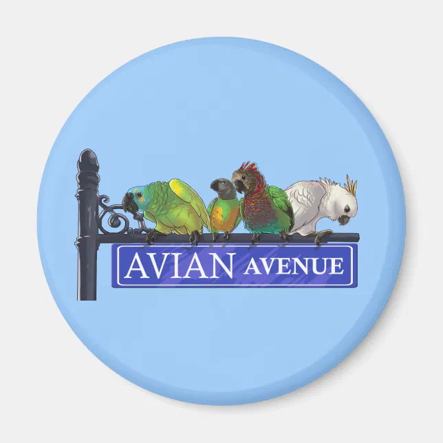 Avian Avenue Magnets | Zazzle