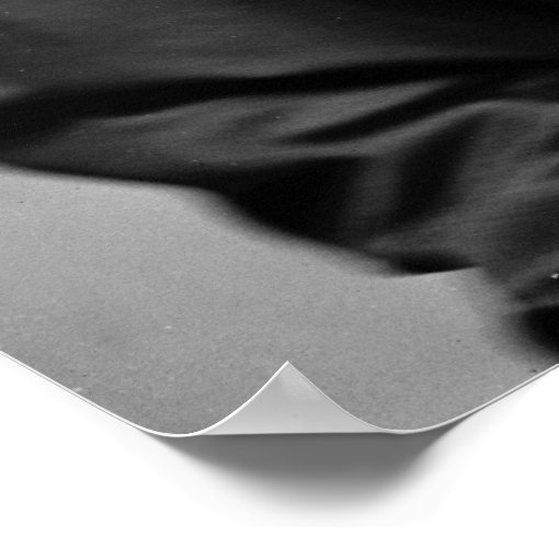 Awesome Civil War Goatee, 1860s Poster | Zazzle