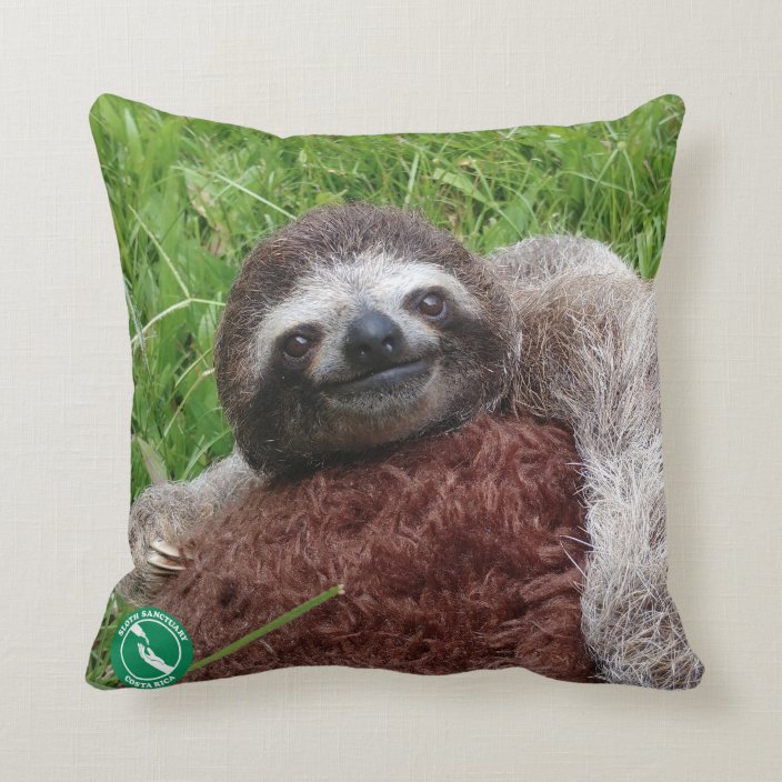 Baby Sloths Pillow for the Sloth lover | Zazzle.com.au