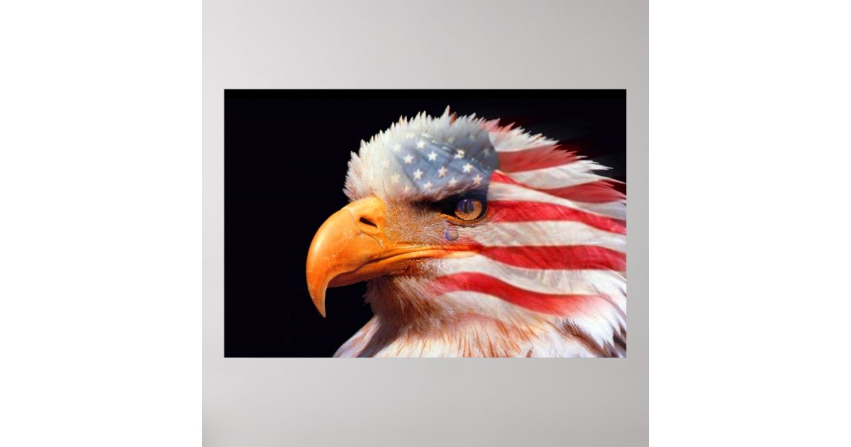 Bald Eagle 4th Of July poster 13 | Zazzle