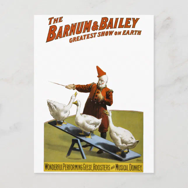 Barnum and Bailey: Performing Geese Postcard | Zazzle