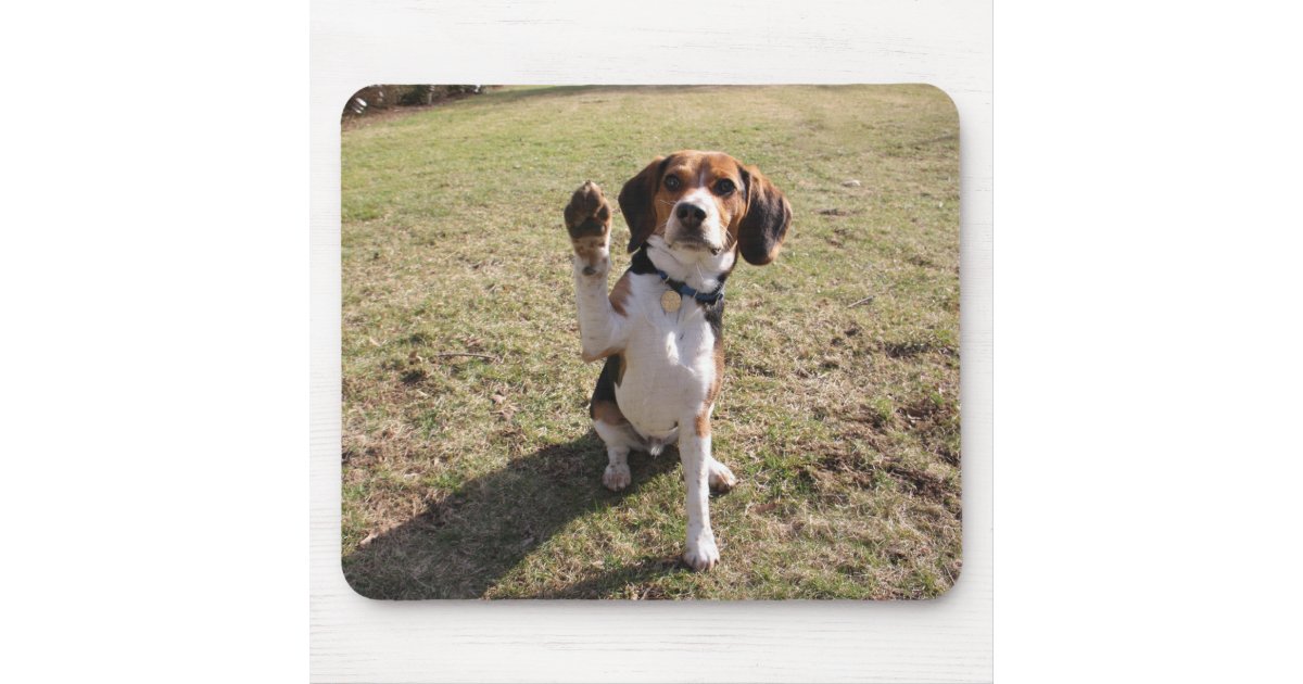 Beagle High Five Mouse Pad | Zazzle