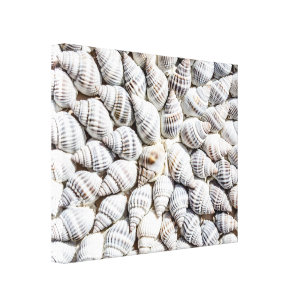 Shellfish Posters & Photo Prints | Zazzle AU
