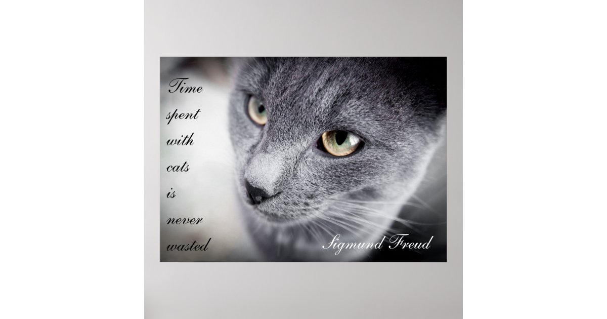 Beautiful cat quote poster - Motivational | Zazzle