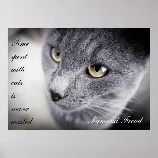 Beautiful cat quote poster - Motivational | Zazzle