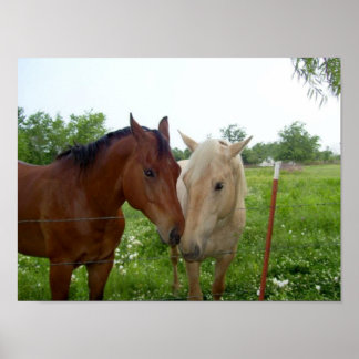 Bff Posters | Zazzle.com.au