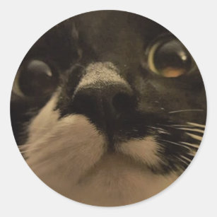 Black Face Stickers | Zazzle AU