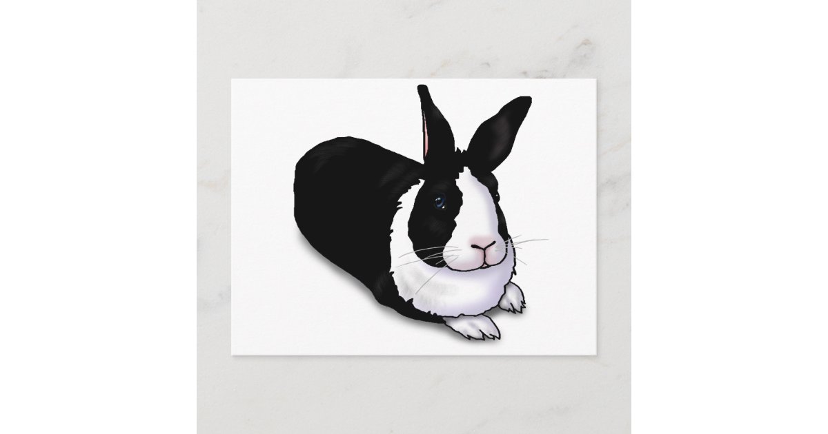 Black and White Rabbit Postcard | Zazzle