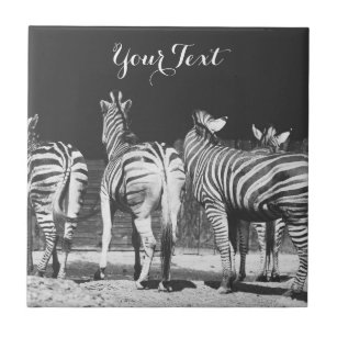 Zebra Decorative Ceramic Tiles | Zazzle.com.au