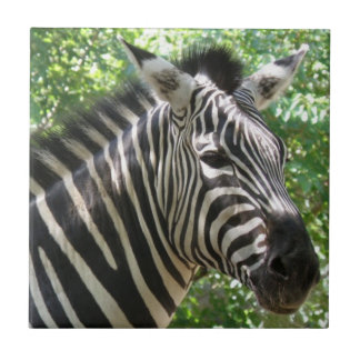 Zebra Ceramic Tiles | Zazzle.com.au