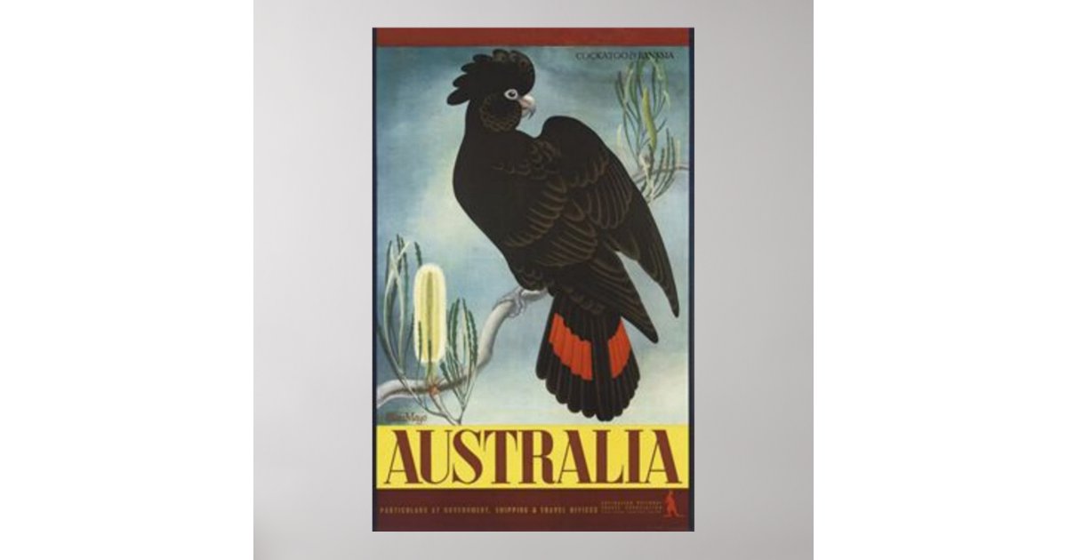 Black Cockatoo Vintage Poster Zazzle