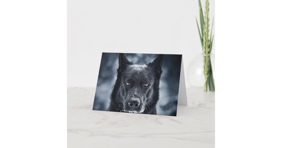 black-german-shepherd-thank-you-card-zazzle