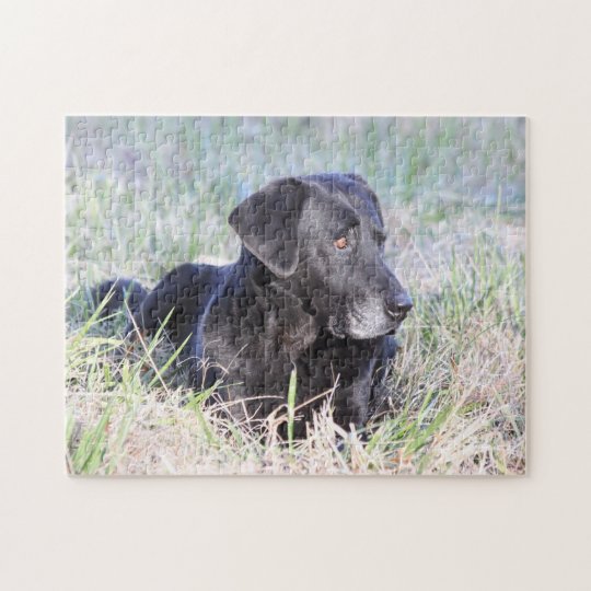 Black Labrador Retriever Jigsaw Puzzle | Zazzle.com.au