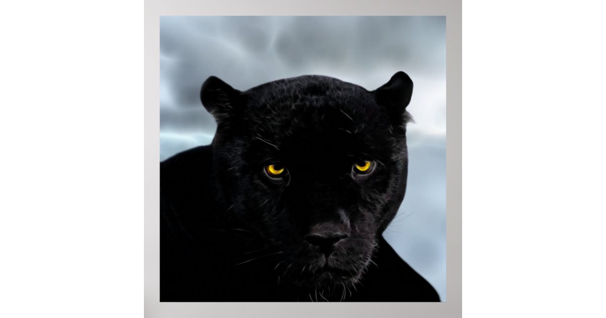 Black Panther Panthera Poster | Zazzle