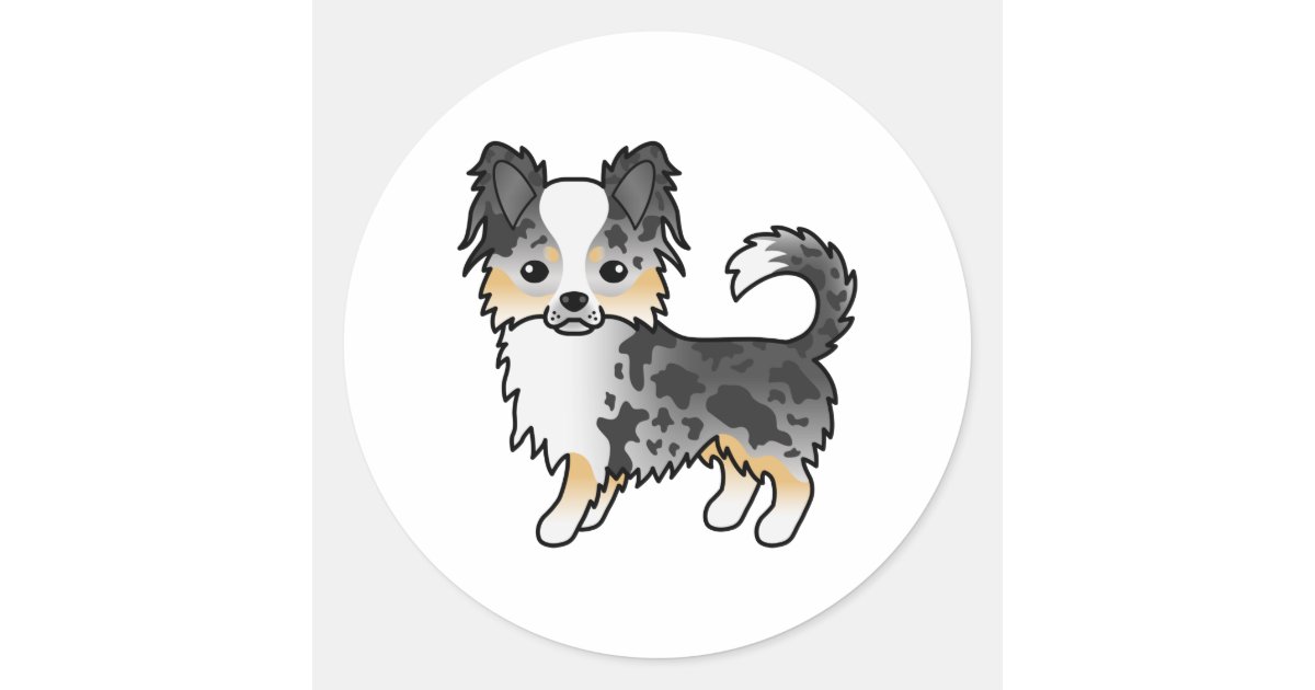 Blue Merle Long Coat Chihuahua Cute Cartoon Dog Classic Round Sticker ...