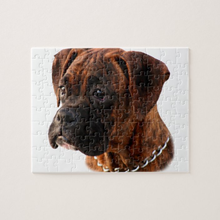 Boxer puppy Dog Jigsaw puzzle | Zazzle.com.au