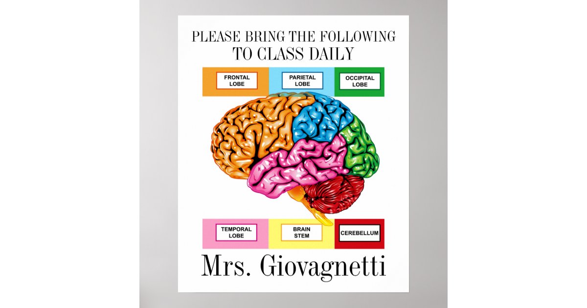 Brain Humour Teacher Poster | Zazzle