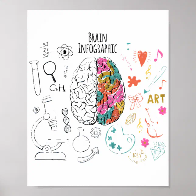 Brain Infographic Poster | Zazzle