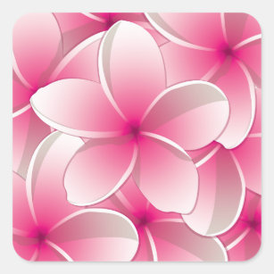 Frangipani Stickers | Zazzle AU