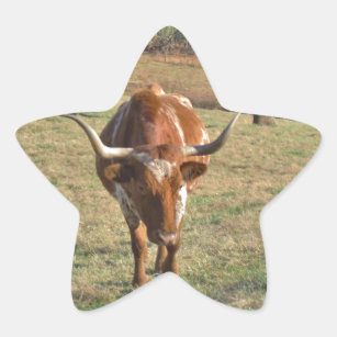 Longhorn Stickers | Zazzle AU