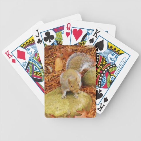 Squirrel Playing Cards | Zazzle.com.au