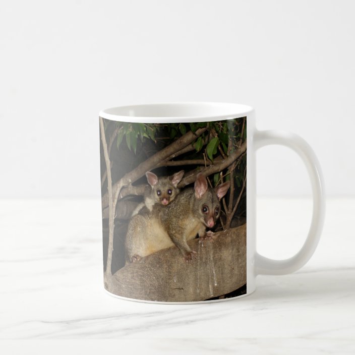 Brushtail Possums Coffee Mug | Zazzle.com.au