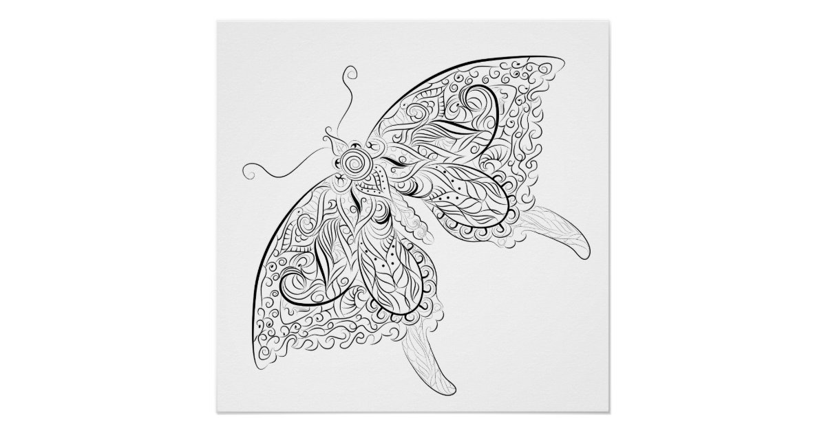 butterfly drawing adult coloring poster | Zazzle