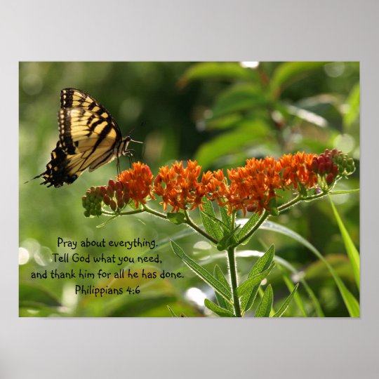 Butterfly Photo Philippians Bible Verse poster | Zazzle.com.au