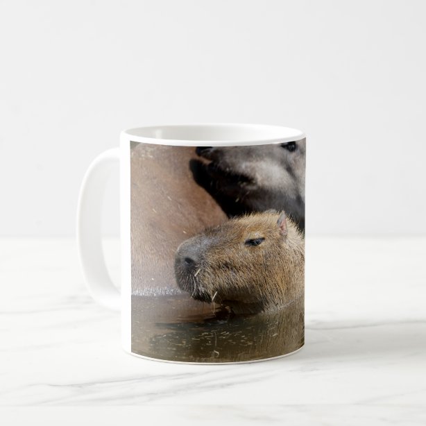Capybara Coffee & Travel Mugs | Zazzle AU
