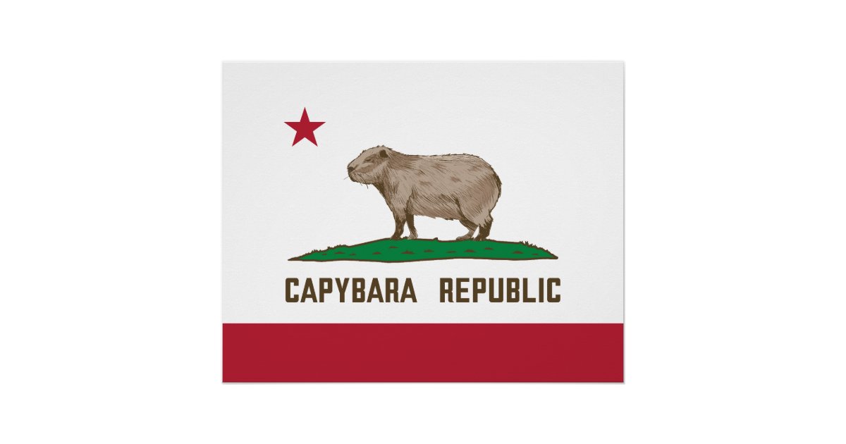 Capybara Republic Flag Poster | Zazzle