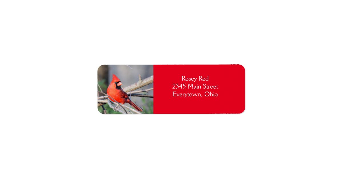 Cardinal Pose Label Return Address Label | Zazzle